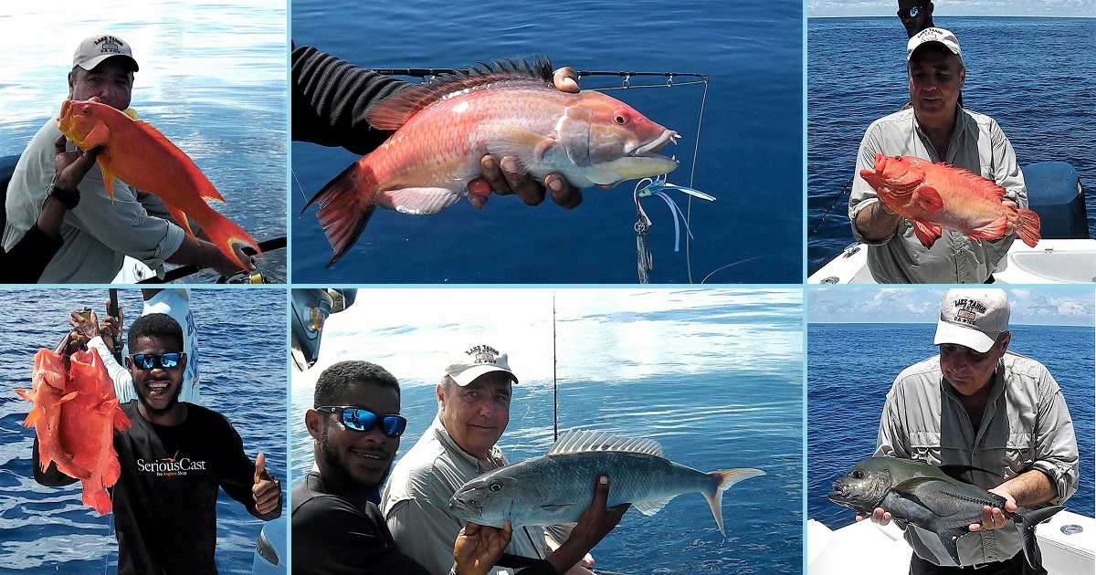 seychelles-fishing reports & information - Seychelles fishing - reports ...