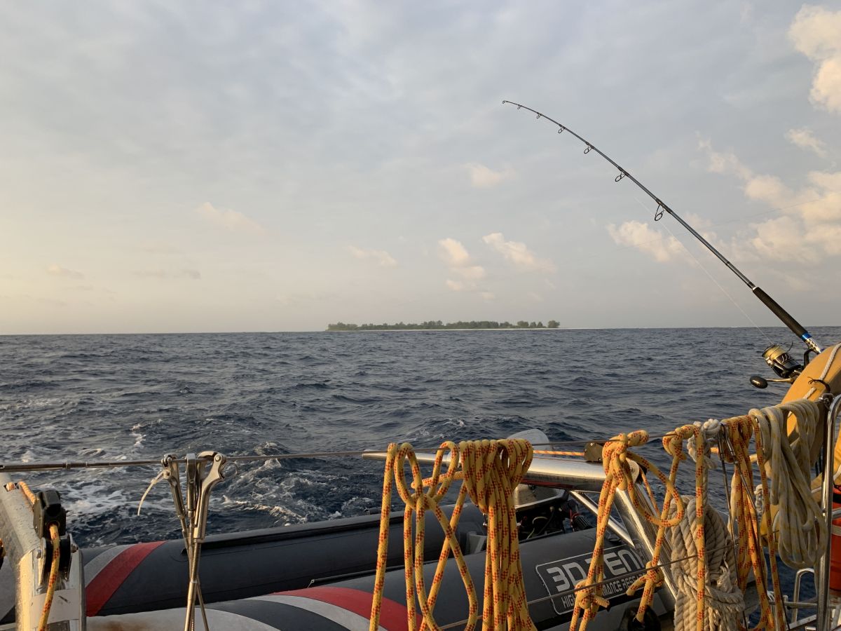 seychelles-fishing reports & information - Seychelles fishing - reports ...