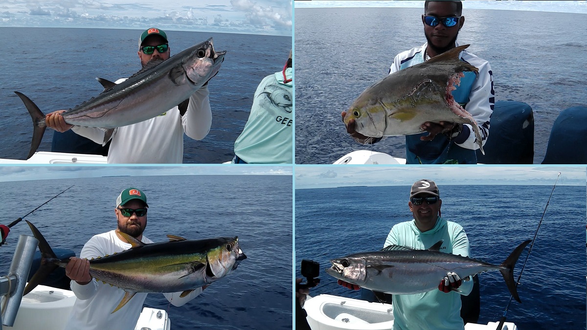 seychelles-fishing reports & information - Seychelles fishing - reports ...