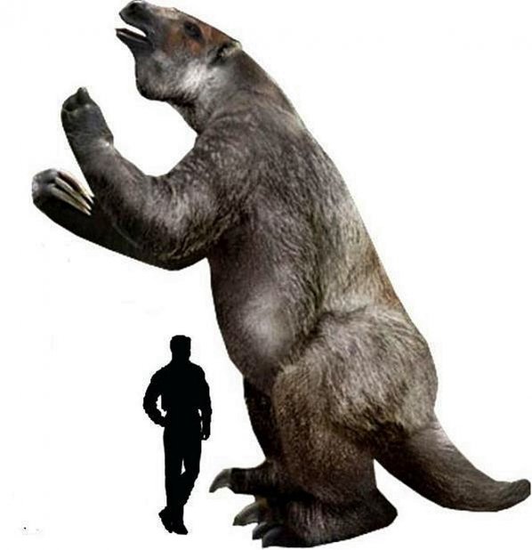 Museo paleontologico y campesino - Página web de praderasincas