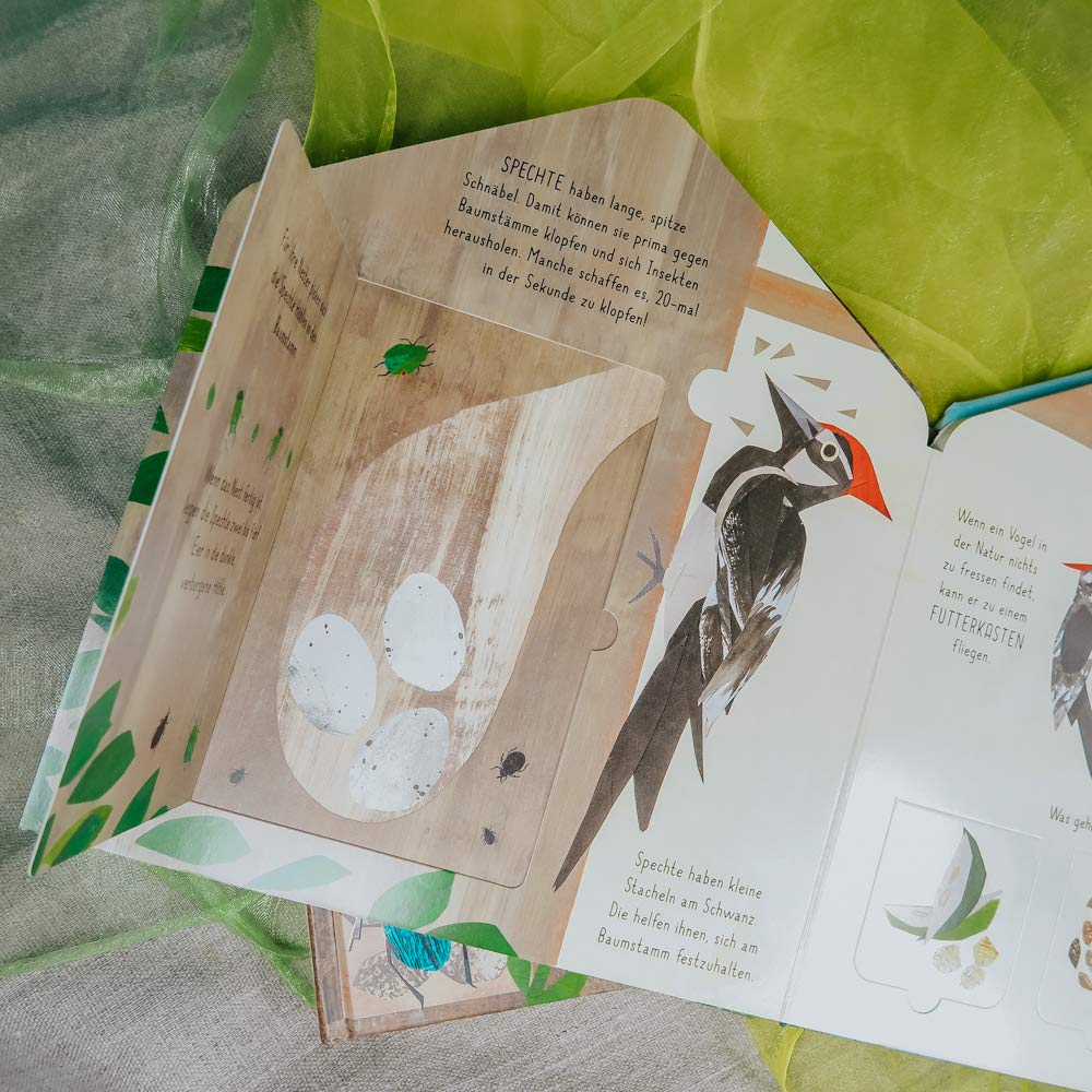 "Mein Vogelhaus – Schwalbe, Spatz und Specht“ von Clover Robin mit ...