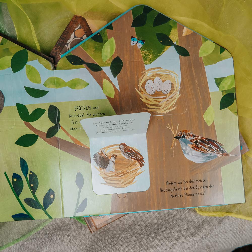 "Mein Vogelhaus – Schwalbe, Spatz und Specht“ von Clover Robin mit ...