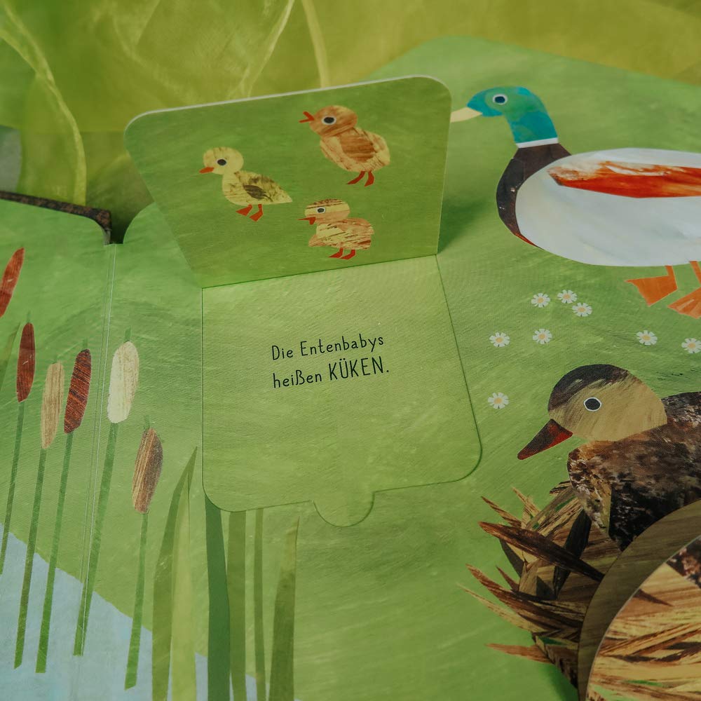 "Mein Vogelhaus – Schwalbe, Spatz und Specht“ von Clover Robin mit ...