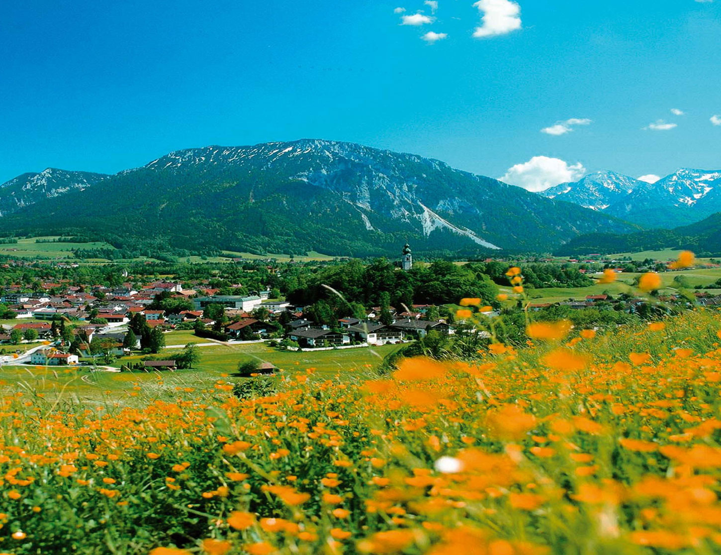 Sommer - Ferienwohnungen Toth in Ruhpolding