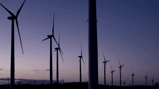 L'Energy Manager oggi indispensabile per le aziende - www ...