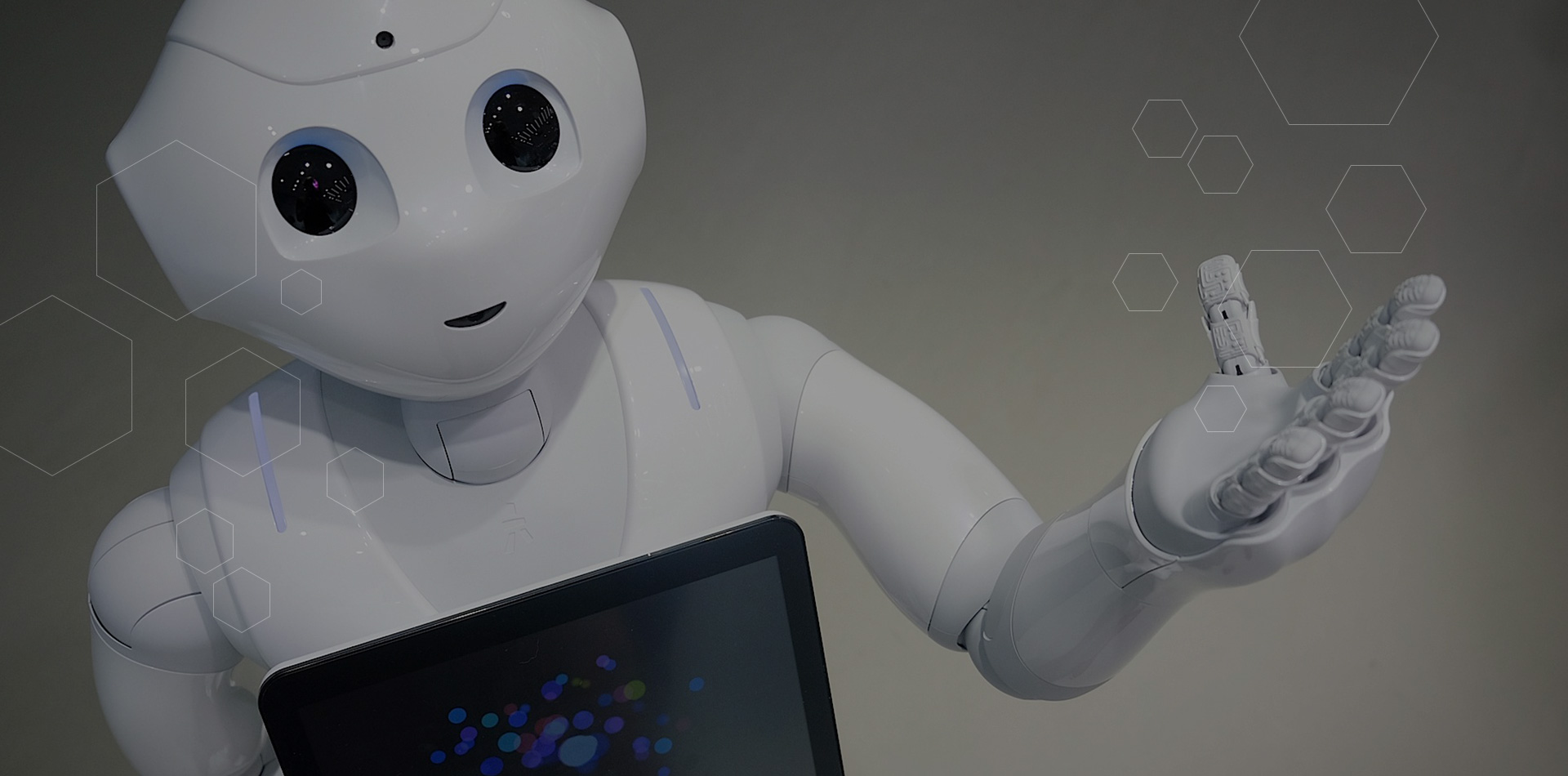 Social Robotics - Advanced Solutions for Special Needs