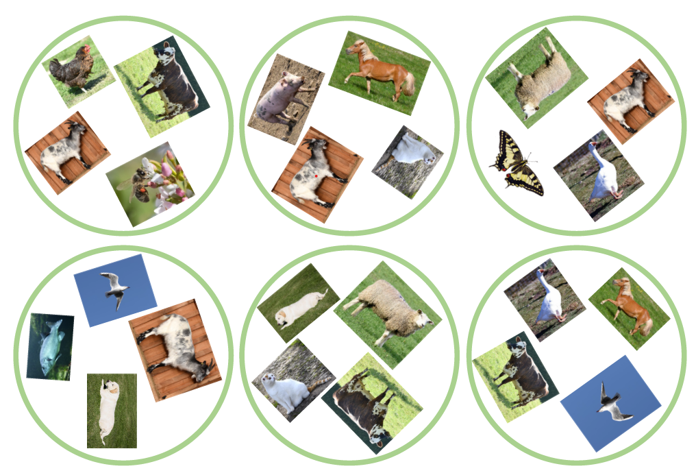 Thème 4_Les animaux - Site de apprentilangue