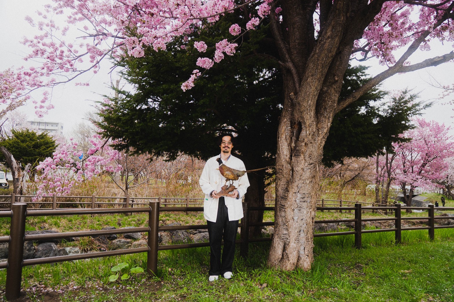 calico - qumo011 ページ！