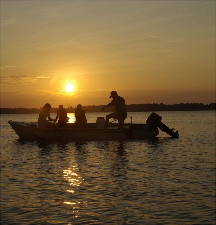 Nature de Guyane en images - Randonnées nature en Guyane : Découverte ...