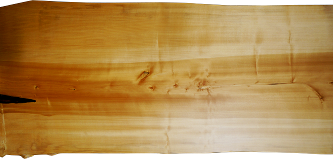 Ginkgo Biloba 【 銀杏】 - ITAKURA Japanese Premium Wood