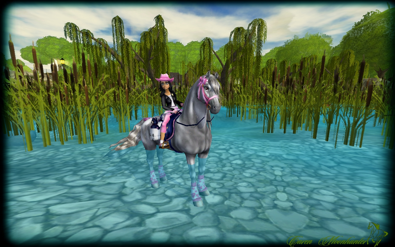 Unterwegs auf Jorvik - Meine Erlebnisse in Star Stable Online - SSO ...