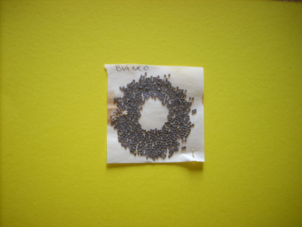 L'ALLEVAMENTO DEI BACHI DA SETA - creattivis JimdoPage!