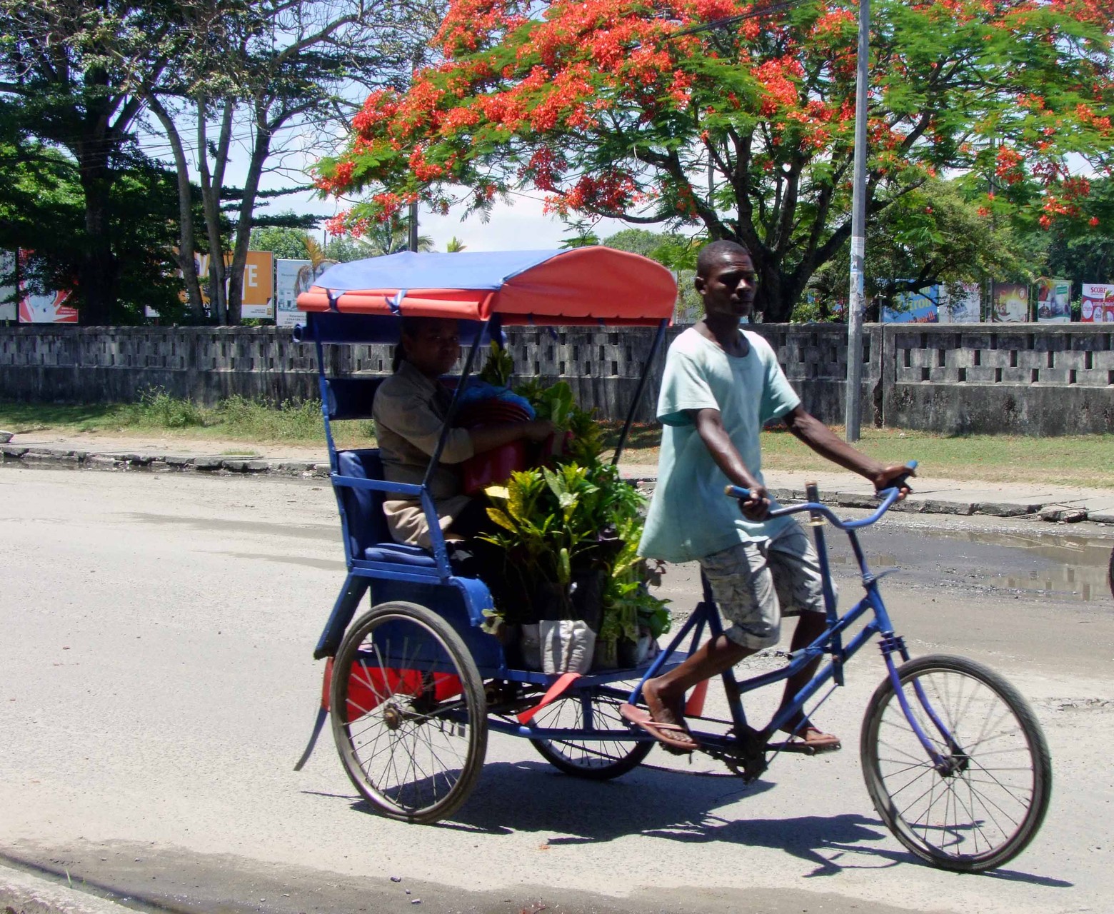 Rikschas weltweit - Triumvirad: der Rikscha-Service in Düsseldorf und ...