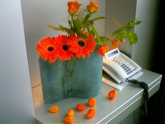 Ueli Prager Preis 2002 - dipl.Tourismuskauffrau / Dekoration/Consulting