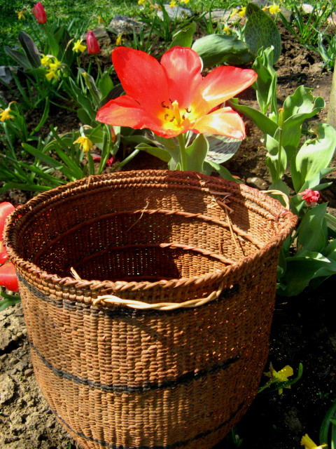 Yanomami - ARTE AMAZONIA provides a global voice through art for the ...