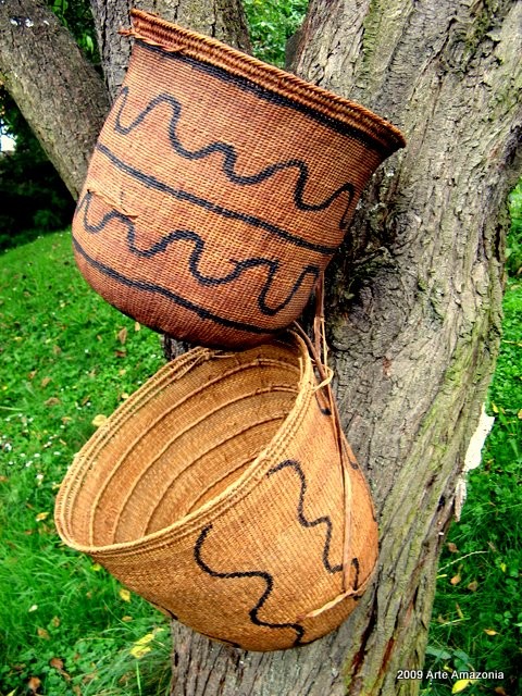 Yanomami - ARTE AMAZONIA provides a global voice through art for the ...