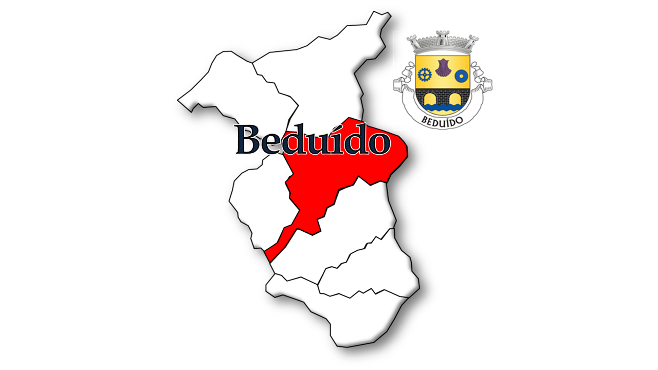 FREGUESIAS DO CONCELHO DE ESTARREJA - Distrito de Aveiro