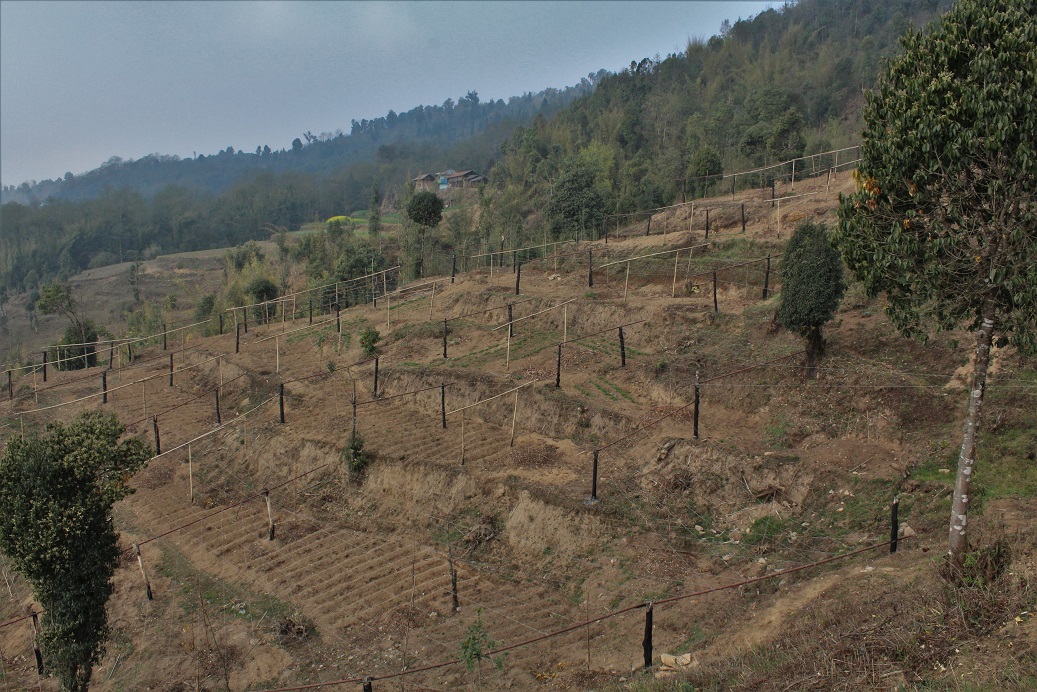 Une semaine dans une famille Raï - Site de nattynepal