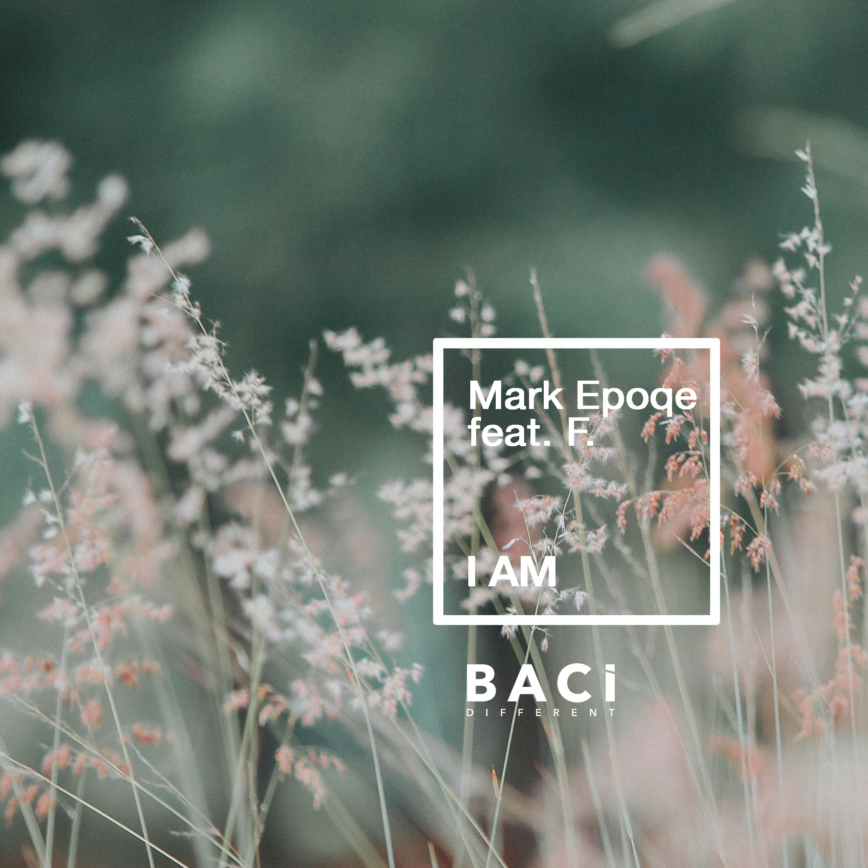 Baci Different - BACI RECORDINGS