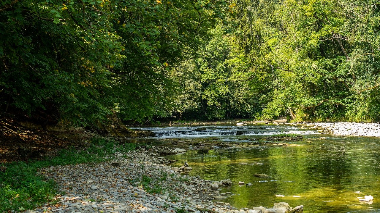 Octavo 8° - Página web de colegiopejibaye