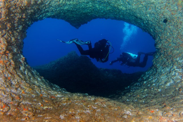 Diving ad Alghero Corsi di immersione sub - Pianeta Alghero