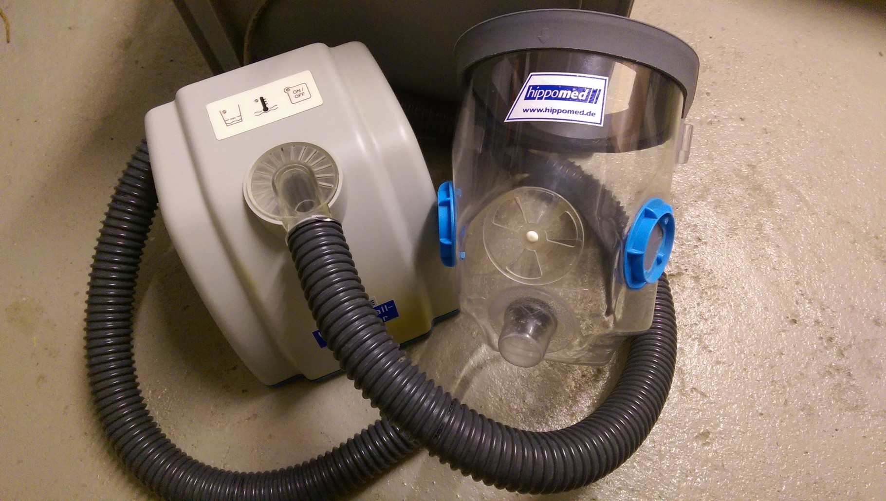 Inhalationstherapie für Pferde - Tierisch Gute Behandlung - Isabell Appel