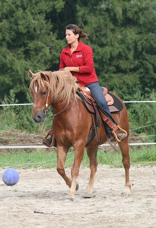 Statusbericht Alex Ortner Kurs September 2012 - YAM PFERDETRAINING