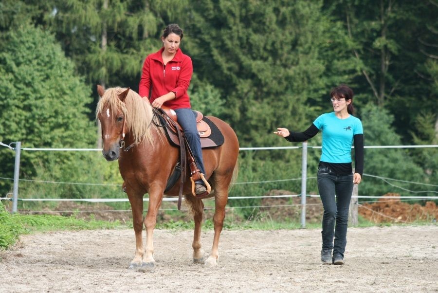 Statusbericht Alex Ortner Kurs September 2012 - YAM PFERDETRAINING