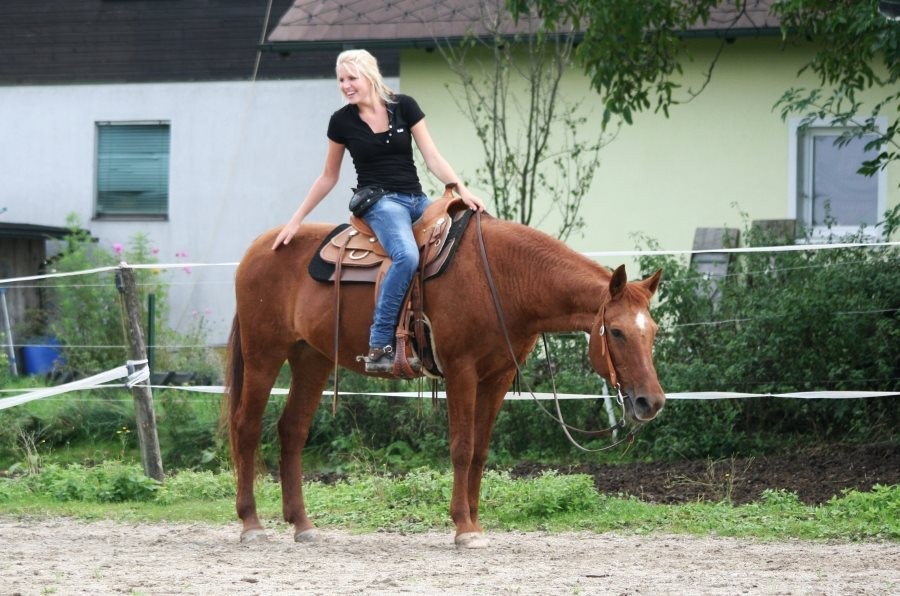 Statusbericht Alex Ortner Kurs September 2012 - YAM PFERDETRAINING