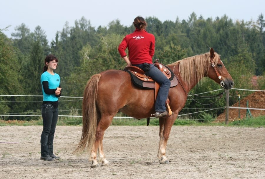 Statusbericht Alex Ortner Kurs September 2012 - YAM PFERDETRAINING