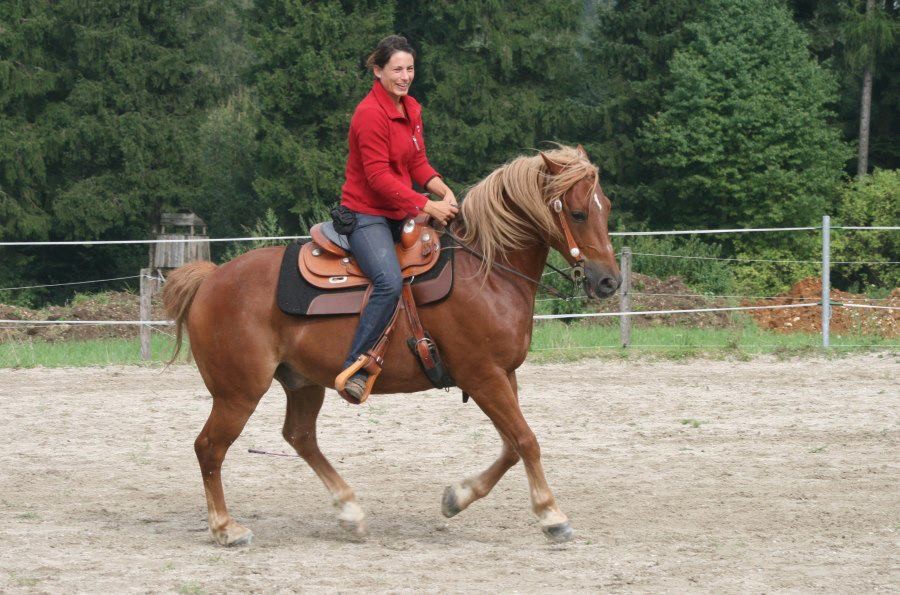 Statusbericht Alex Ortner Kurs September 2012 - YAM PFERDETRAINING