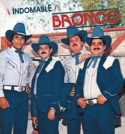 Grupo Bronco - discografia