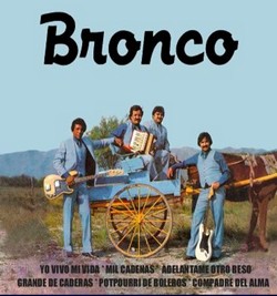 Grupo Bronco - discografia