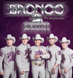 Grupo Bronco - discografia