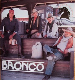 Grupo Bronco - discografia