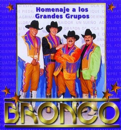 Grupo Bronco - discografia
