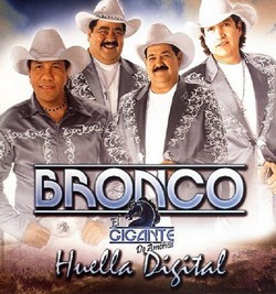 Grupo Bronco - discografia