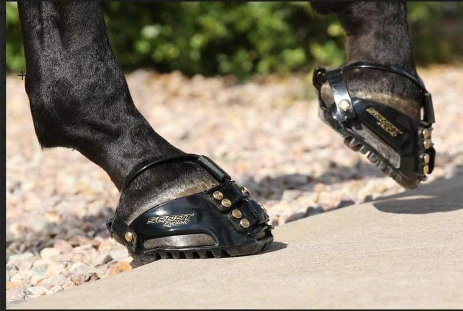 1 Paar Scootboots Enduro mit Zubehör - Hufschuhe Scootboots Scoot Boots ...