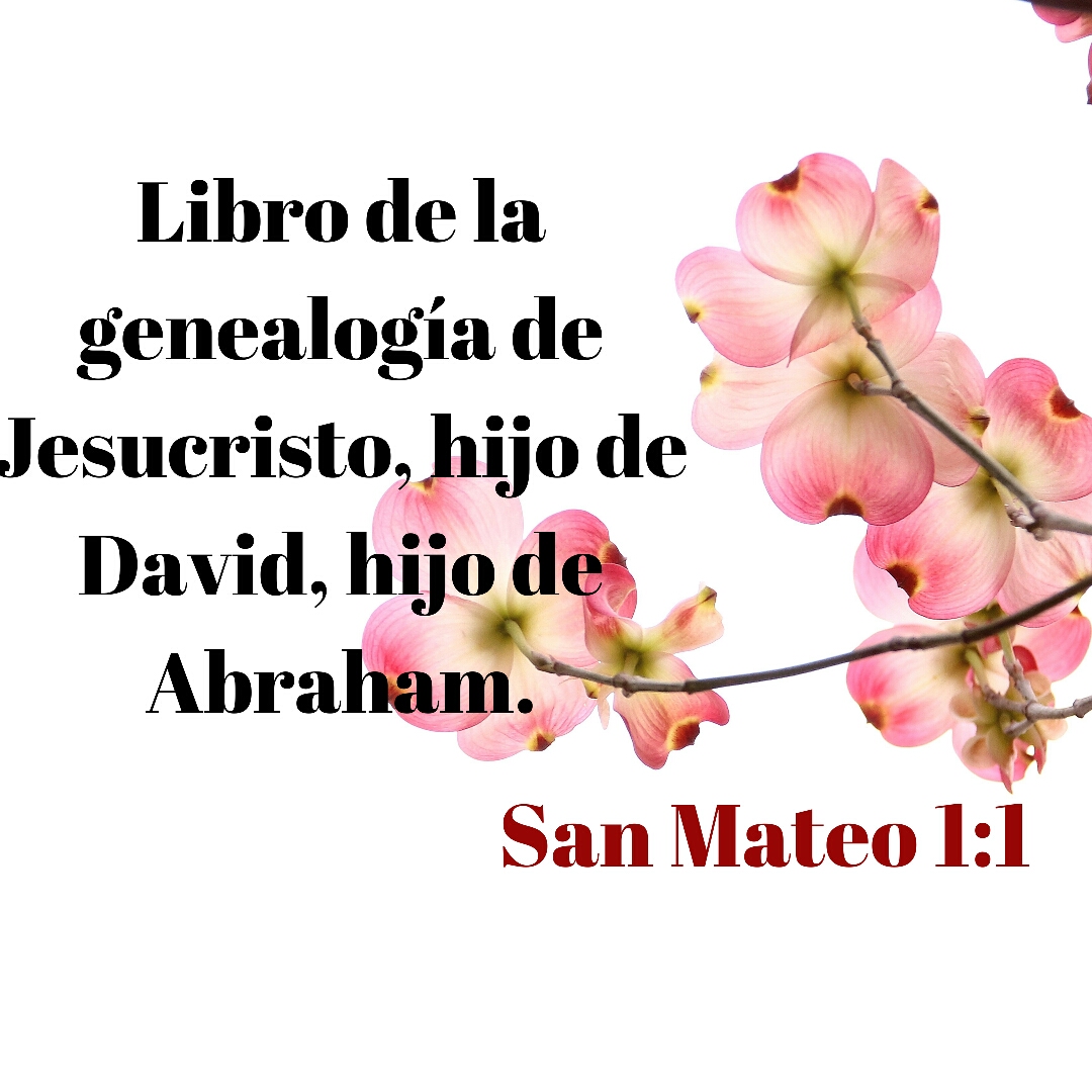 San Mateo - Página web de unanimes1