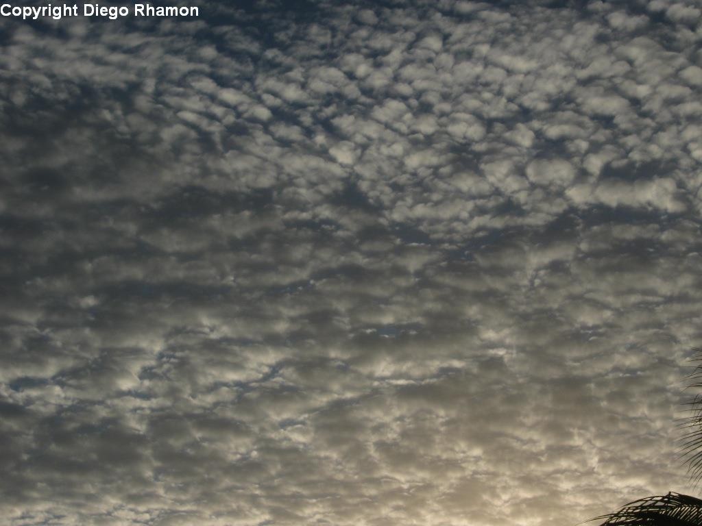 Altocumulus - Tudo sobre fenômenos atmosféricos - conceitos, fotos e vídeos