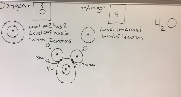 Cell Process and Energy - mrzscience