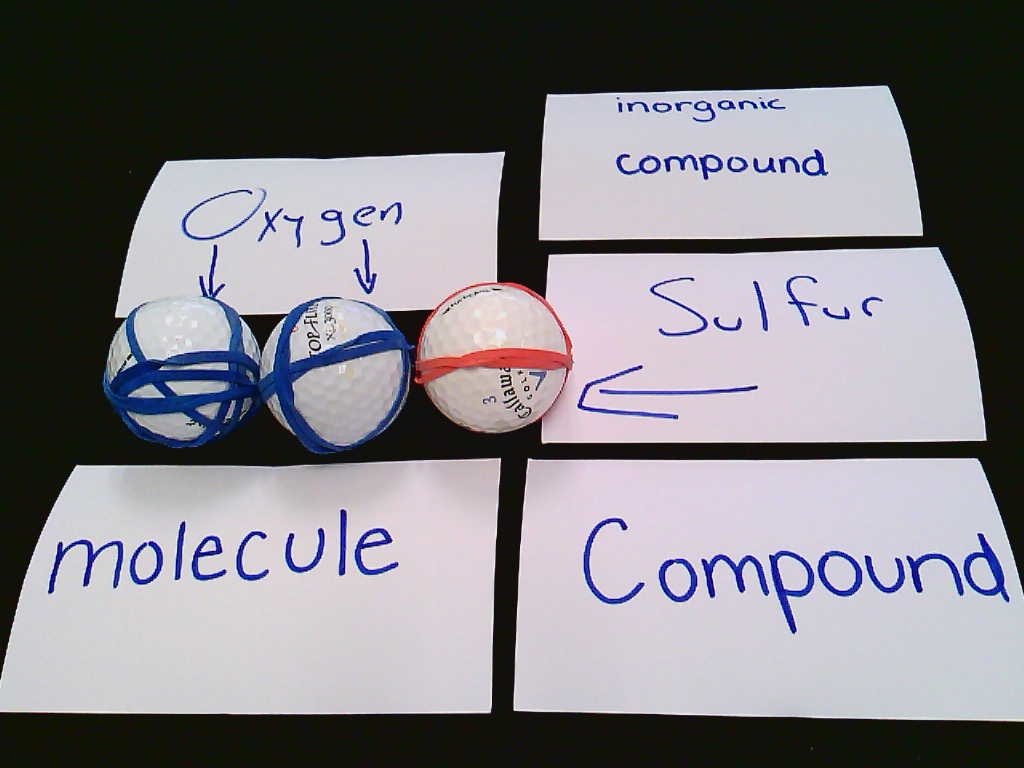 Cell Process and Energy - mrzscience