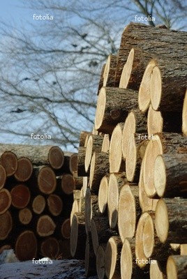 商品情報 - lagoan ページ！