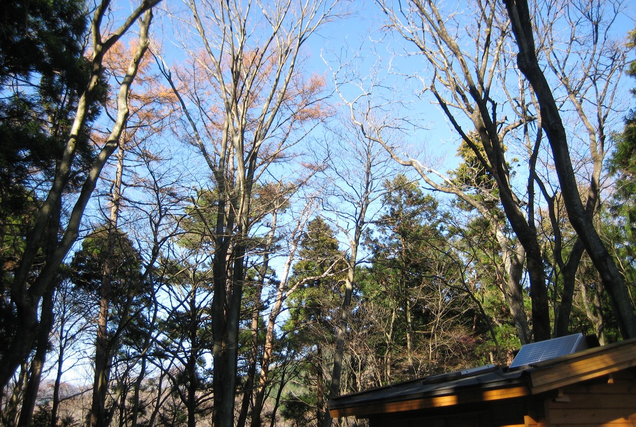 ようこそ森の隠居処「羅豪庵」へ - lagoan ページ！