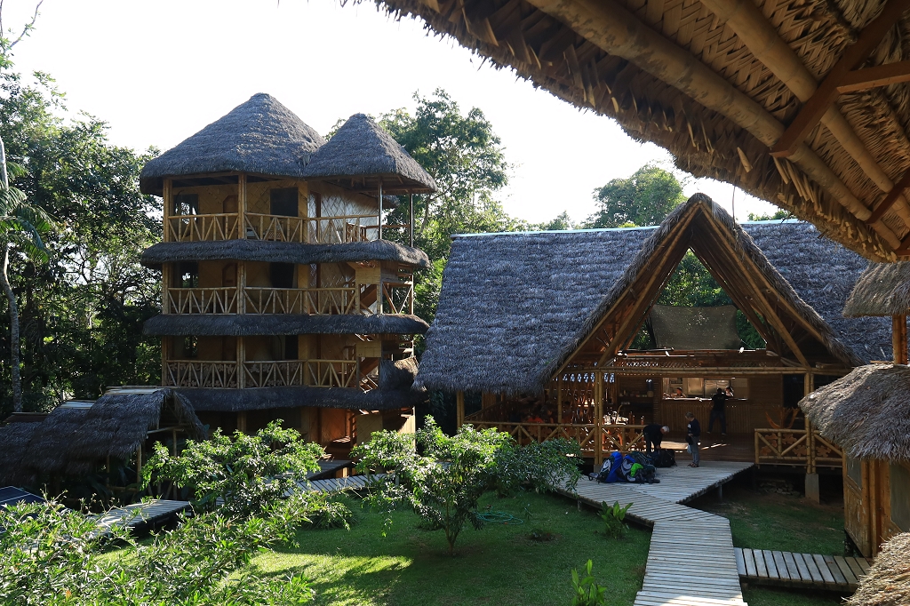 5 Days in the Amazon Rainforest: Adventures in a fragile World ...