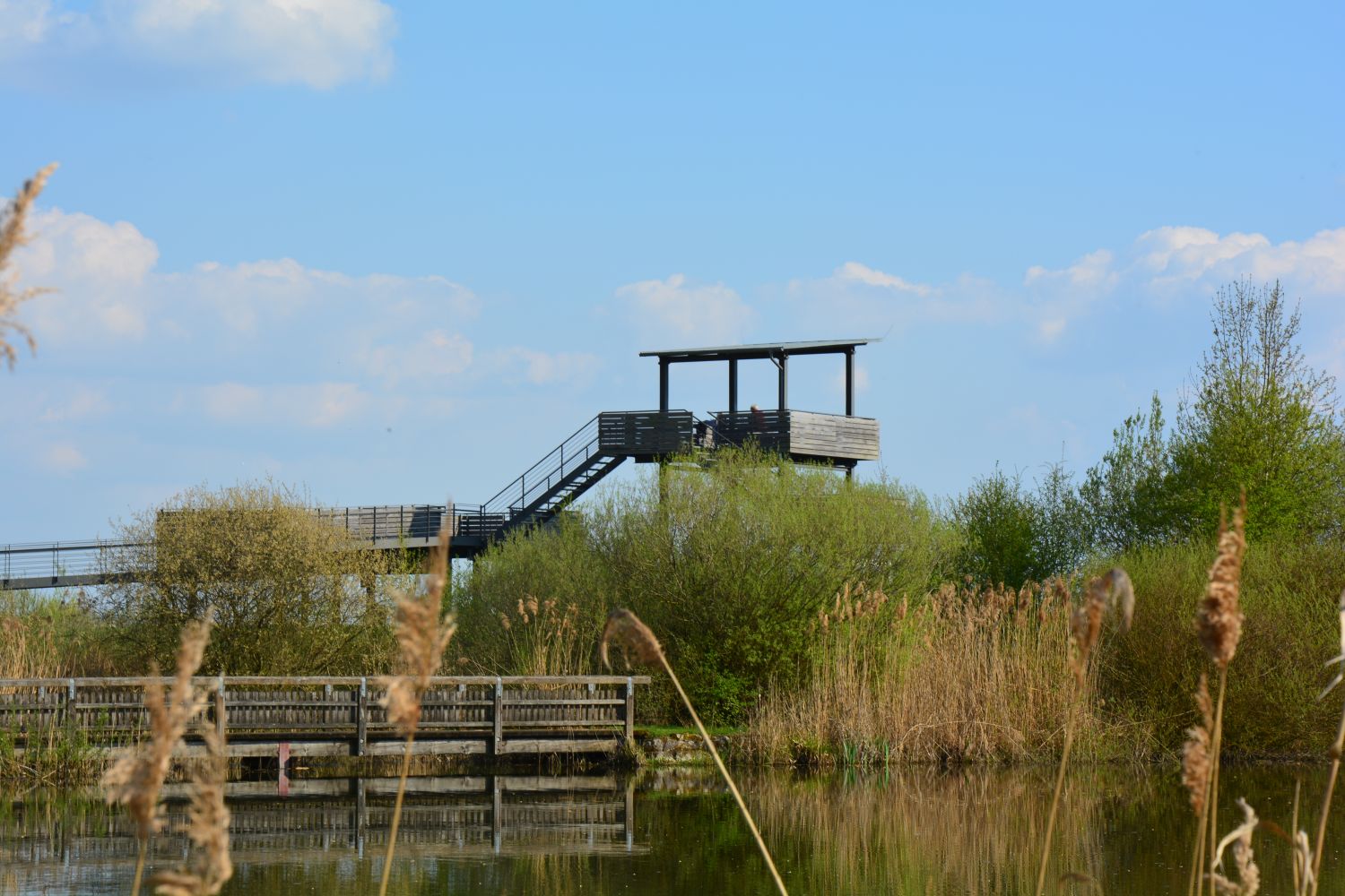 Die Vogelinsel am Altmühlsee - altmuehlsee-lbvs Webseite!