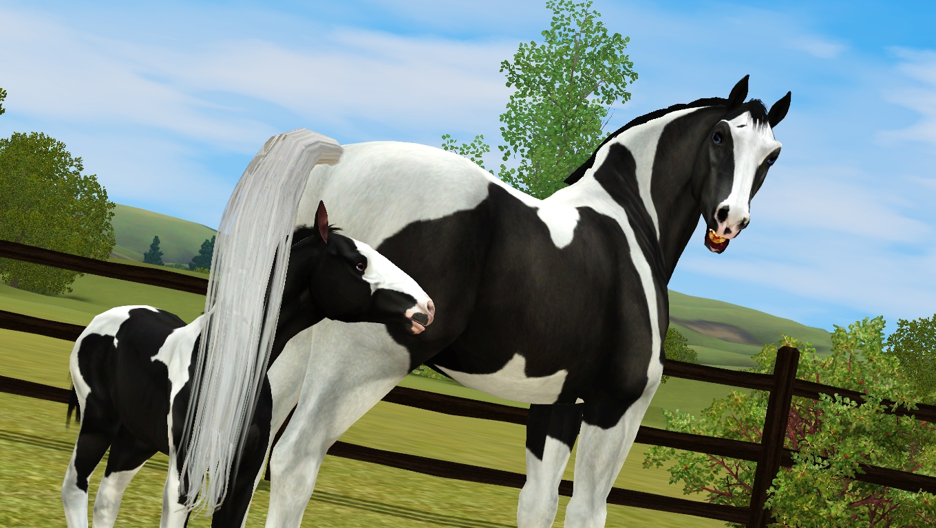 Start - rosebudstables Webseite!