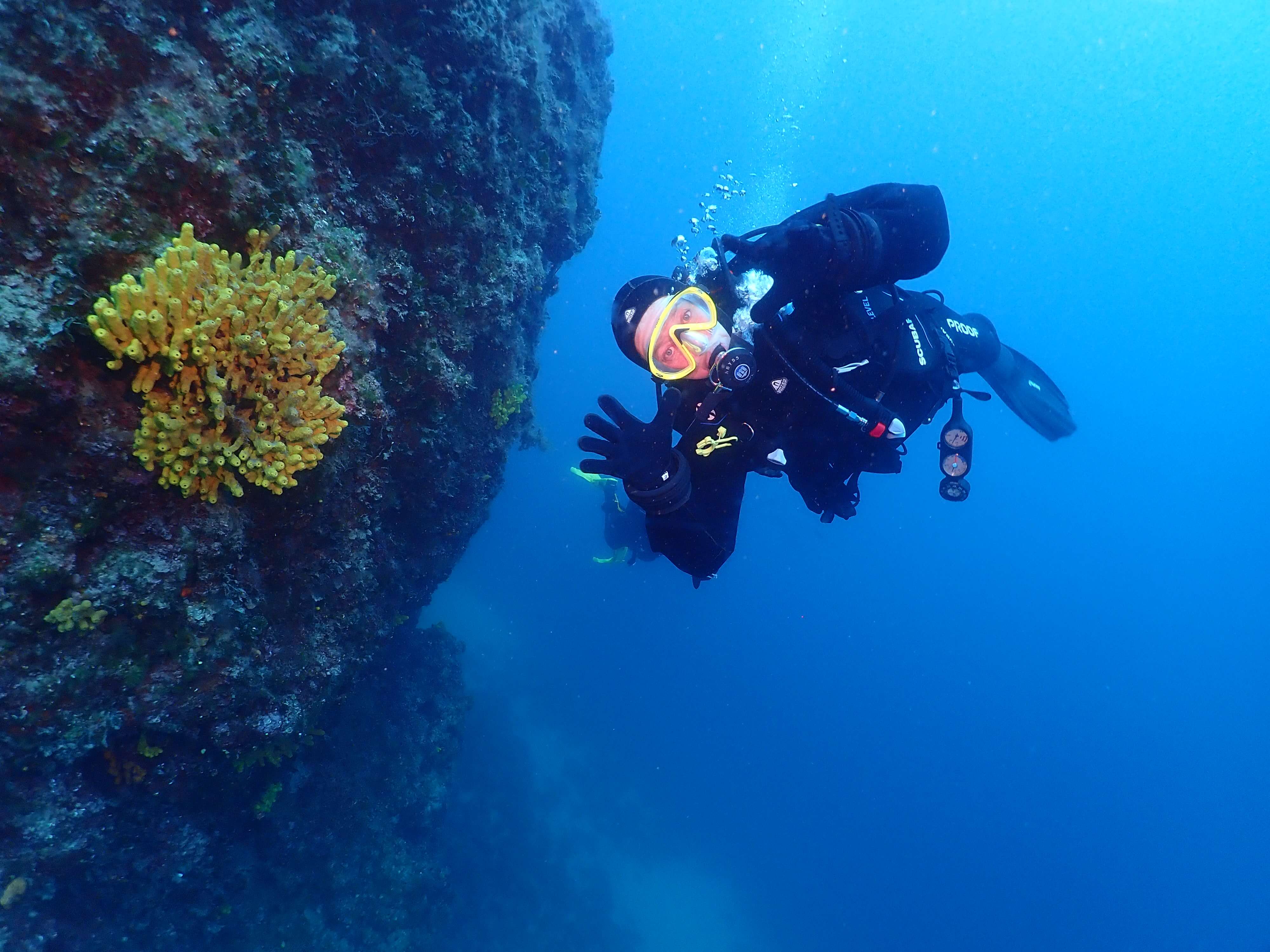 Tauchmedizin | Tauchwissen - tauchen-mit-handicap