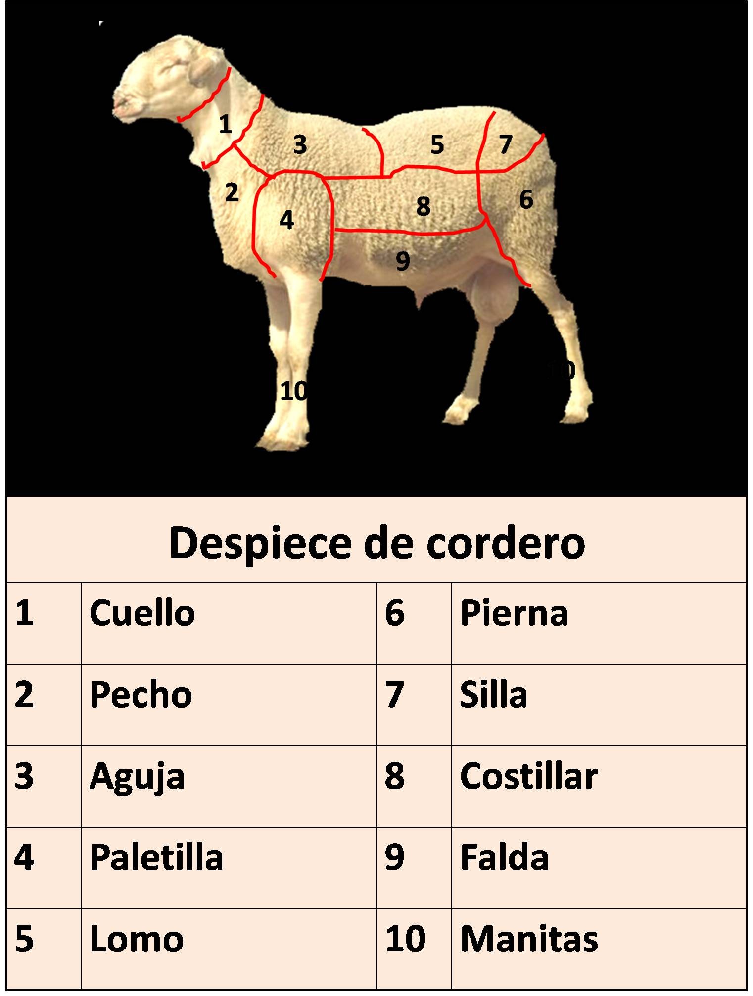 Cordero - Página web de cocinacuriosa