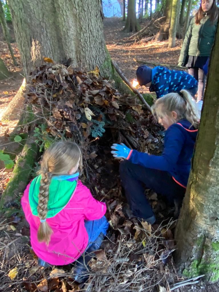 2./3. Klasse im Wald - Schulen Menznau
